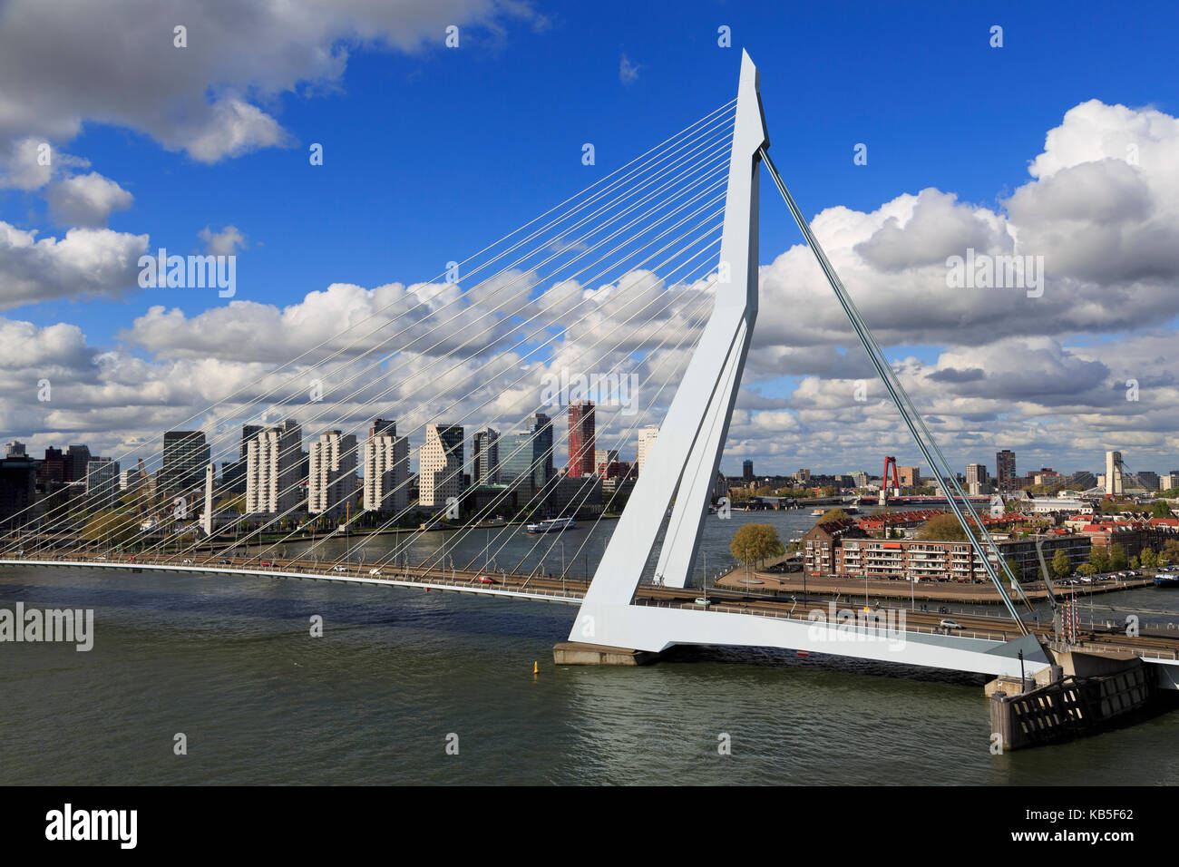 Erasmus Bridge, Rotterdam, South Holland, Netherlands, Europe Stock ...