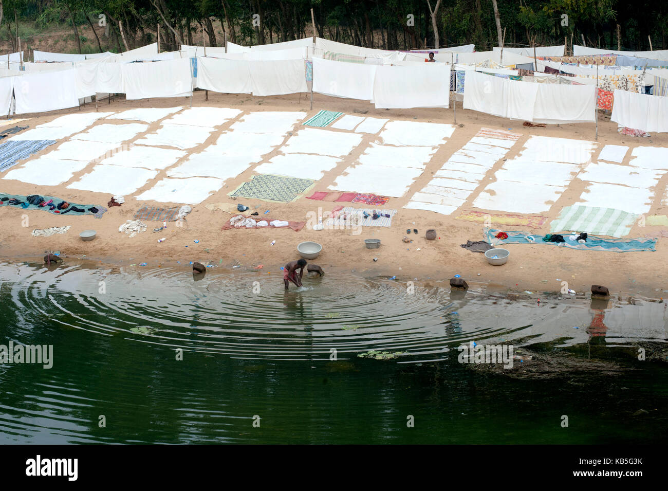 Dhobi wallah washing clothes in the Bhargabi River, handwashed laundry ...