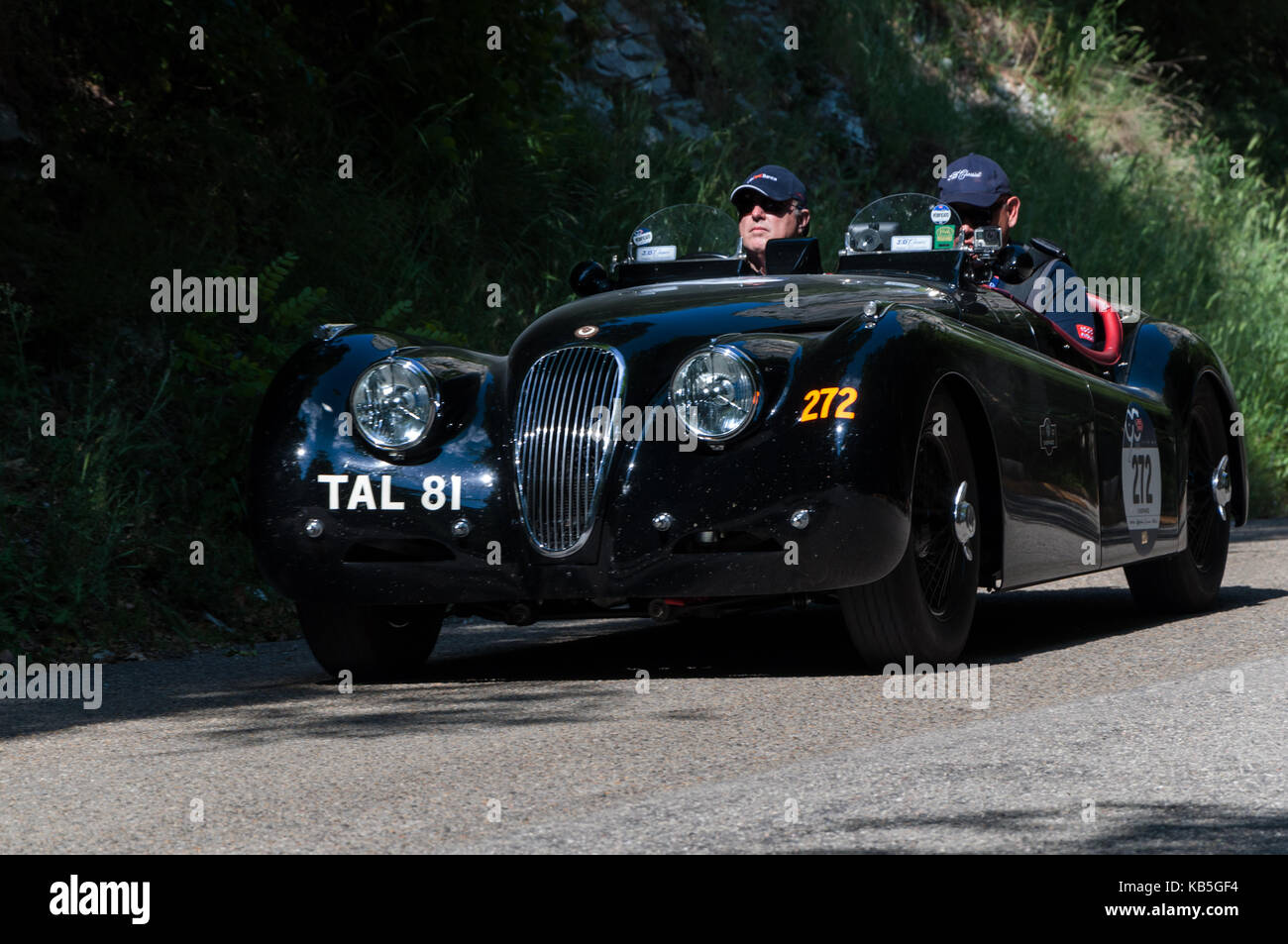 JAGUAR XK 120 OTS ROADSTER 1950 on an old racing car in rally Mille ...