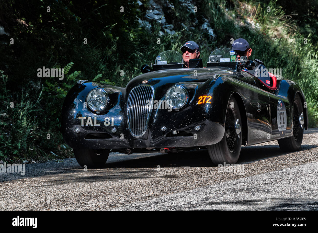 JAGUAR XK 120 OTS ROADSTER 1950 on an old racing car in rally Mille ...
