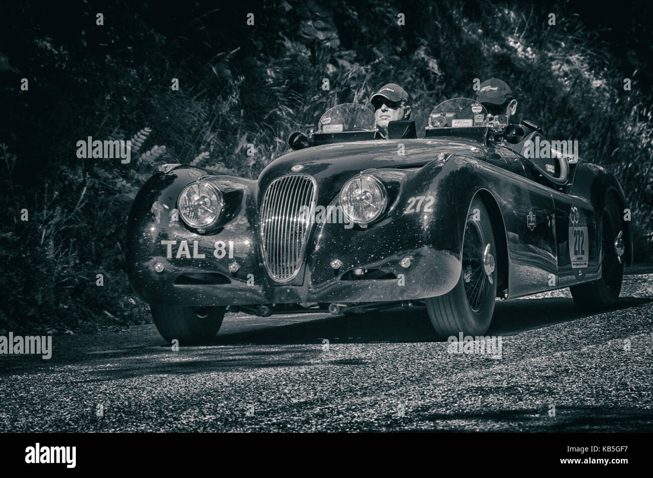 JAGUAR XK 120 OTS ROADSTER 1950 on an old racing car in rally Mille ...