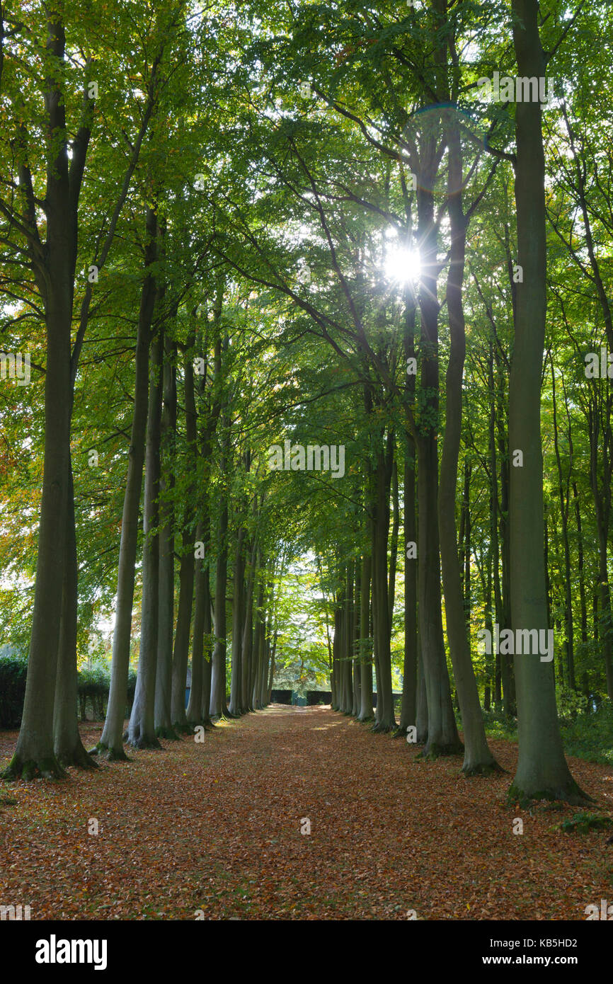 Mickleton hi-res stock photography and images - Alamy