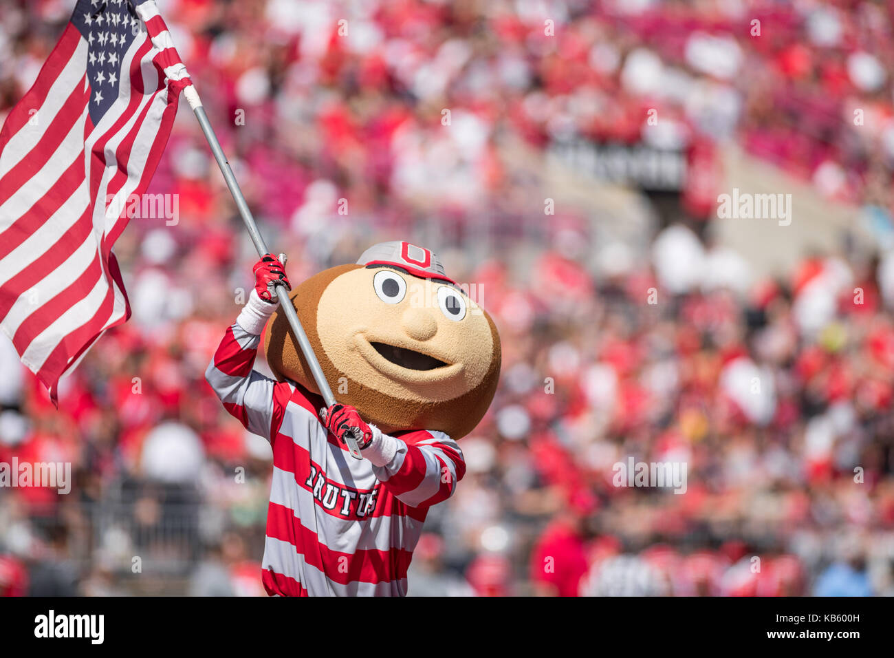 Brutus buckeye hi-res stock photography and images - Alamy