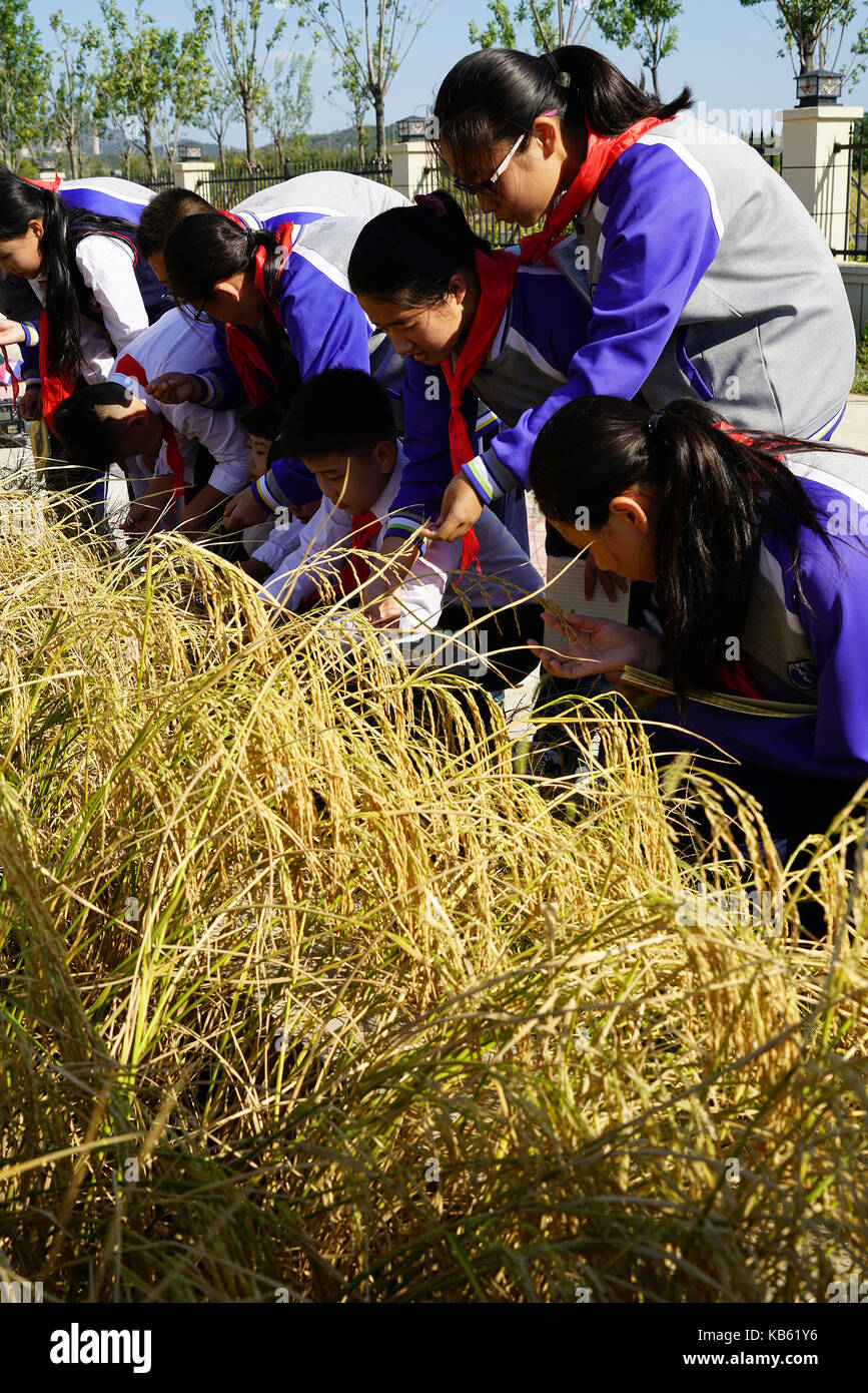 Qingdao, China's Shandong Province. 28th Sep, 2017. Students look at ...