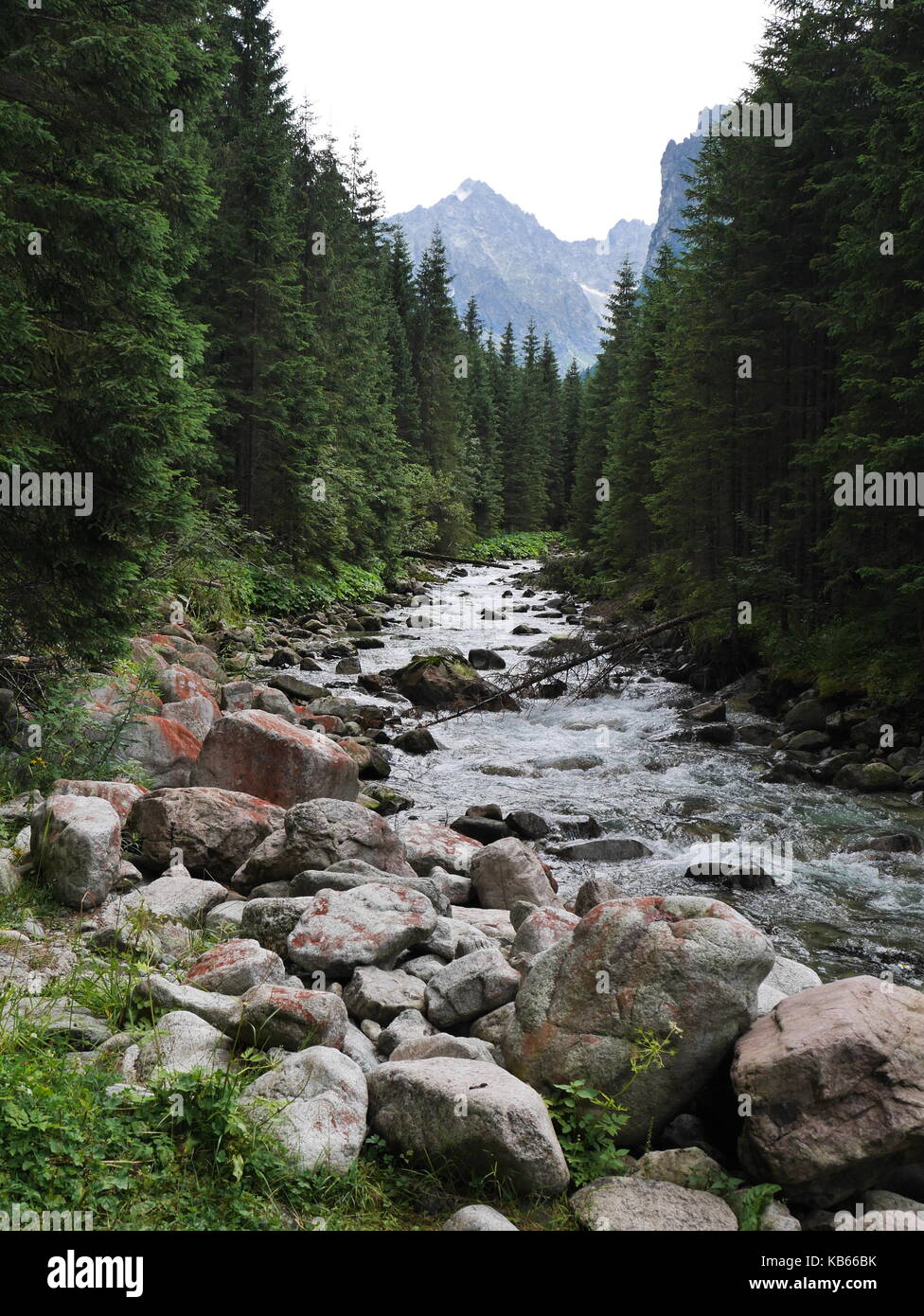 River running through trees in mountains Stock Photo - Alamy