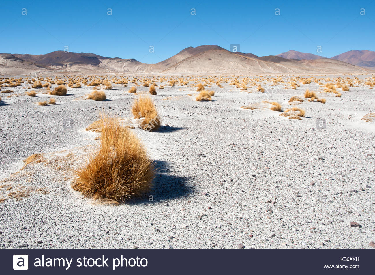 Huasco, Chile Stock Photos & Huasco, Chile Stock Images - Alamy
