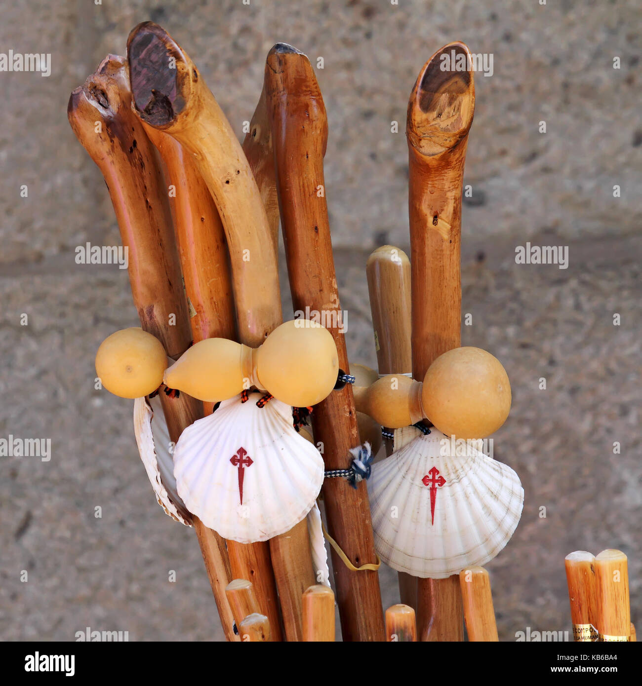 Camino scallop shells hi-res stock photography and images - Alamy