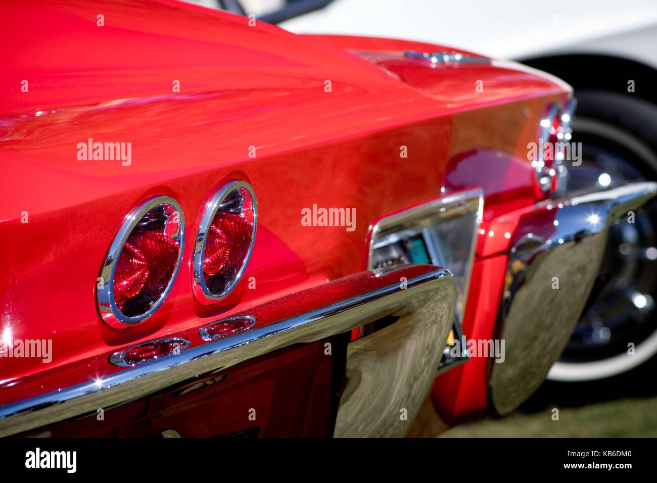 The "Plastic Fantastic All Corvette Show" at the Embarcadero Marina ...