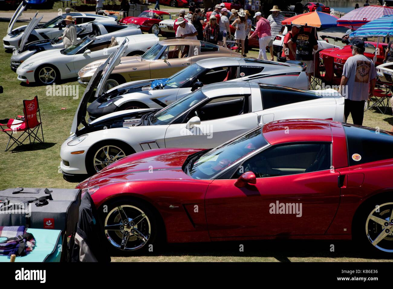The "Plastic Fantastic All Corvette Show" at the Embarcadero Marina ...