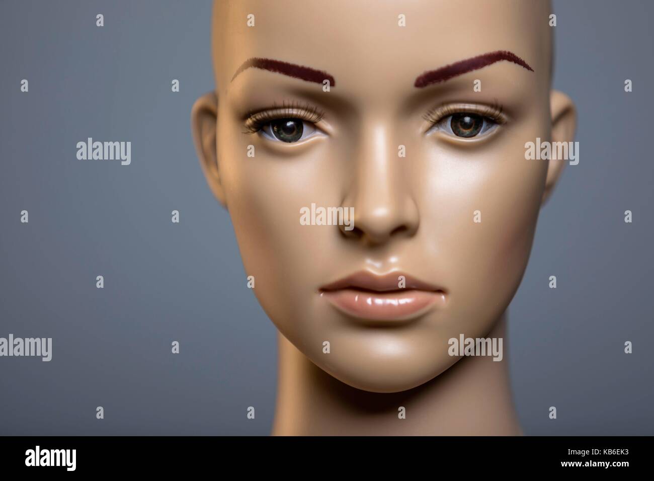 Illustration beauty, the head of a doll photographed in a studio, 14 ...