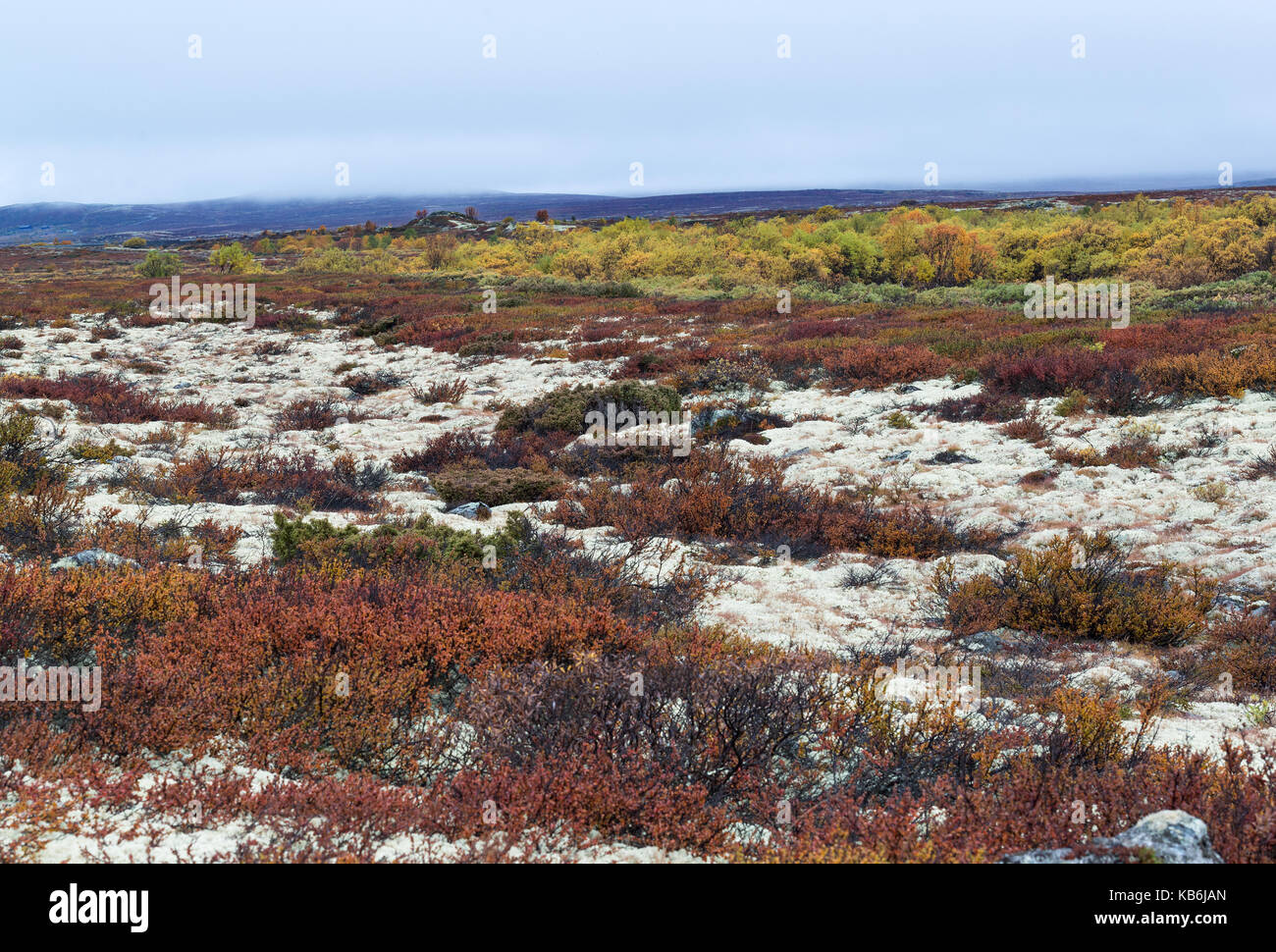 Norwegian national parks hi-res stock photography and images - Alamy