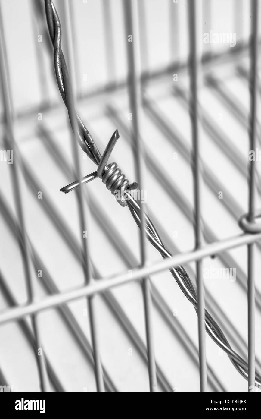 Barbed wire behind bars, a conceptual immigration shot Stock Photo - Alamy