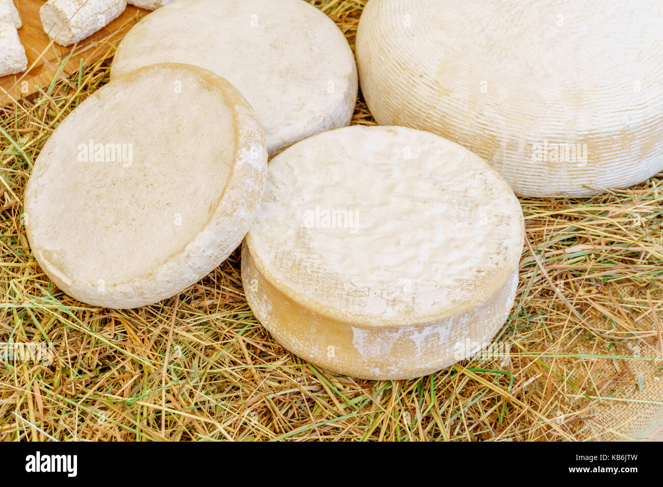 Typical italian cheese head Stock Photo - Alamy