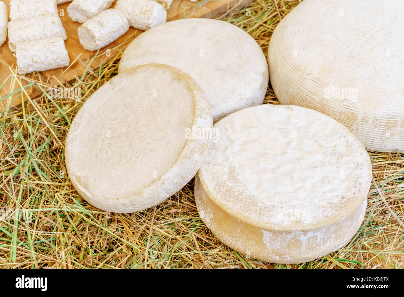 Old round cheese hi-res stock photography and images - Alamy