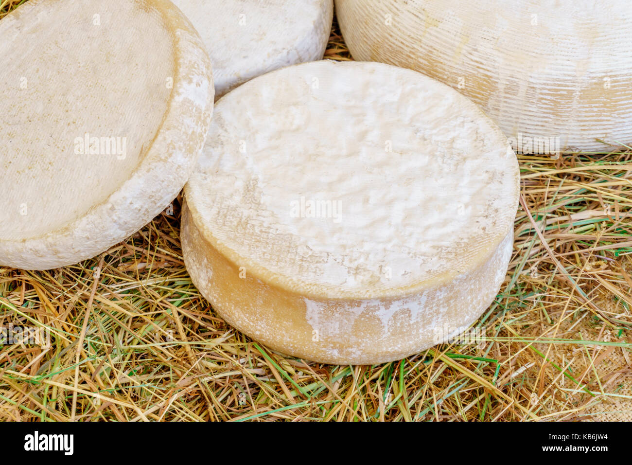 Typical italian cheese head Stock Photo - Alamy