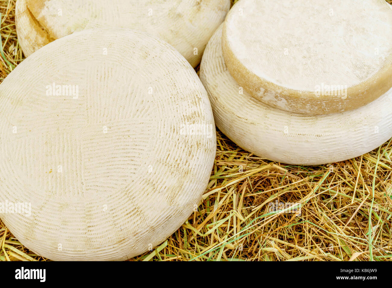 Typical italian cheese head Stock Photo - Alamy