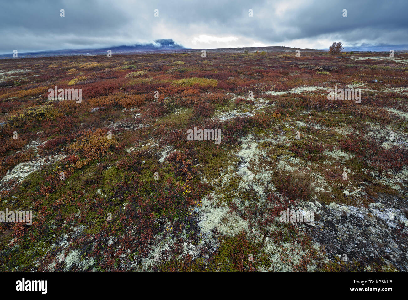 Norwegian National Parks High Resolution Stock Photography and Images ...