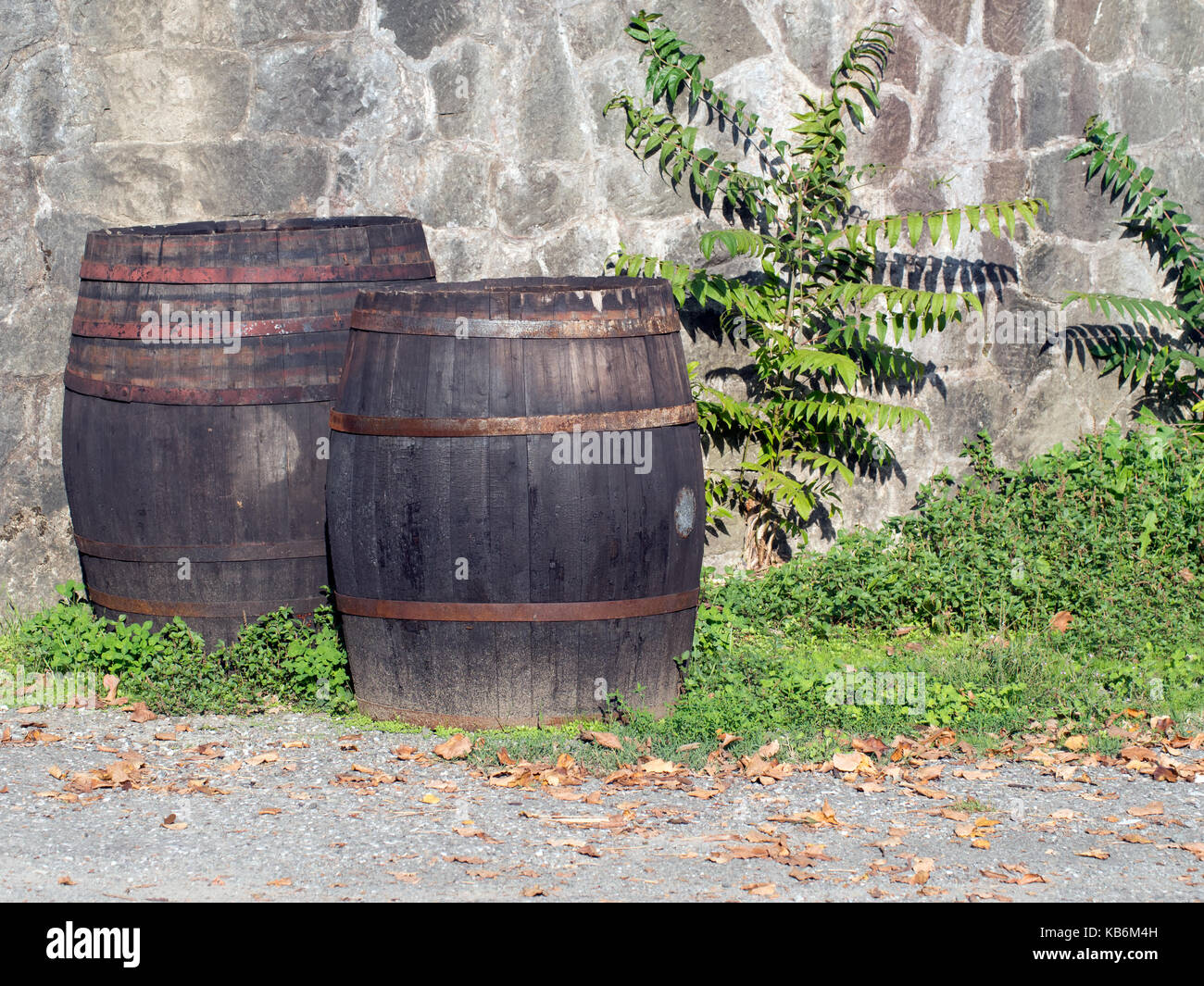 Old wine barrels outside in sunshine Stock Photo - Alamy