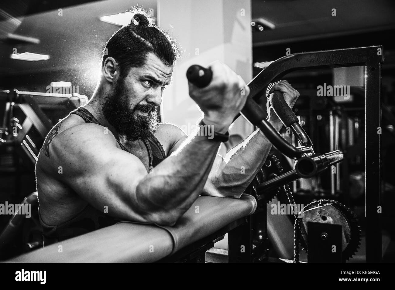 Man Doing Heavy Weight Exercise For Biceps On Machine In A Gym Stock ...