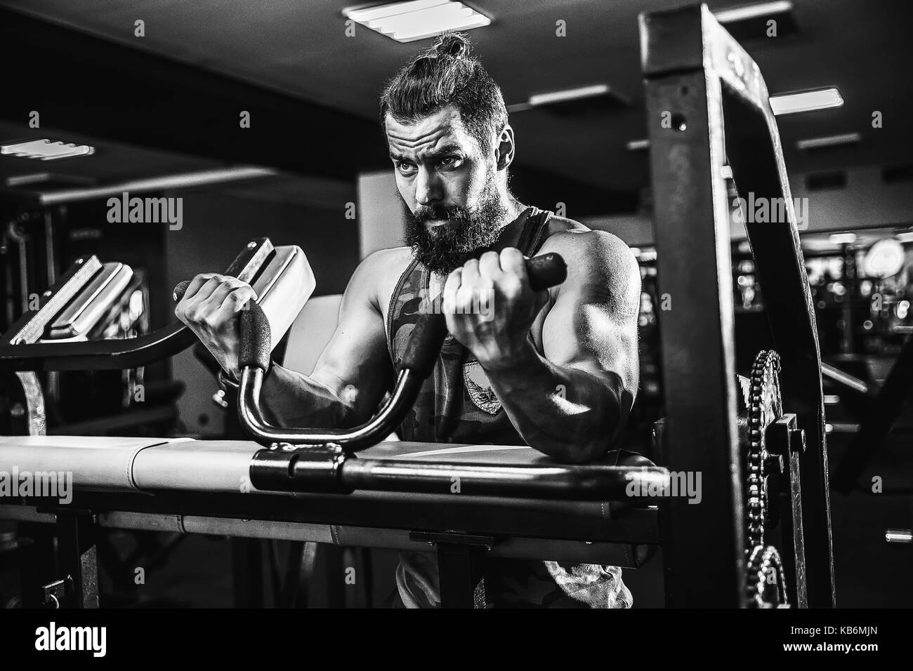 Man Doing Heavy Weight Exercise For Biceps On Machine In A Gym Stock ...