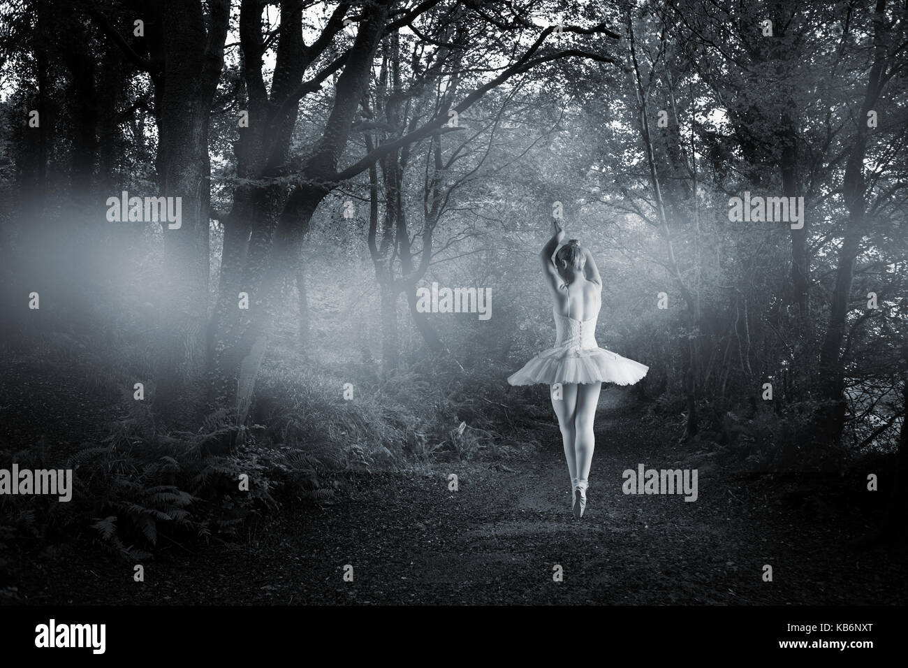Ballerina standing en pointe against way between trees Stock Photo - Alamy