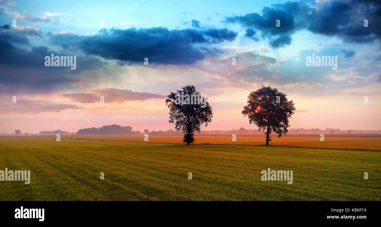 grass field with tree Stock Photo - Alamy