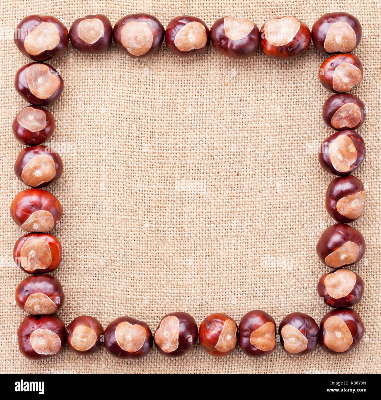 chestnuts frame on fabric texture background Stock Photo - Alamy