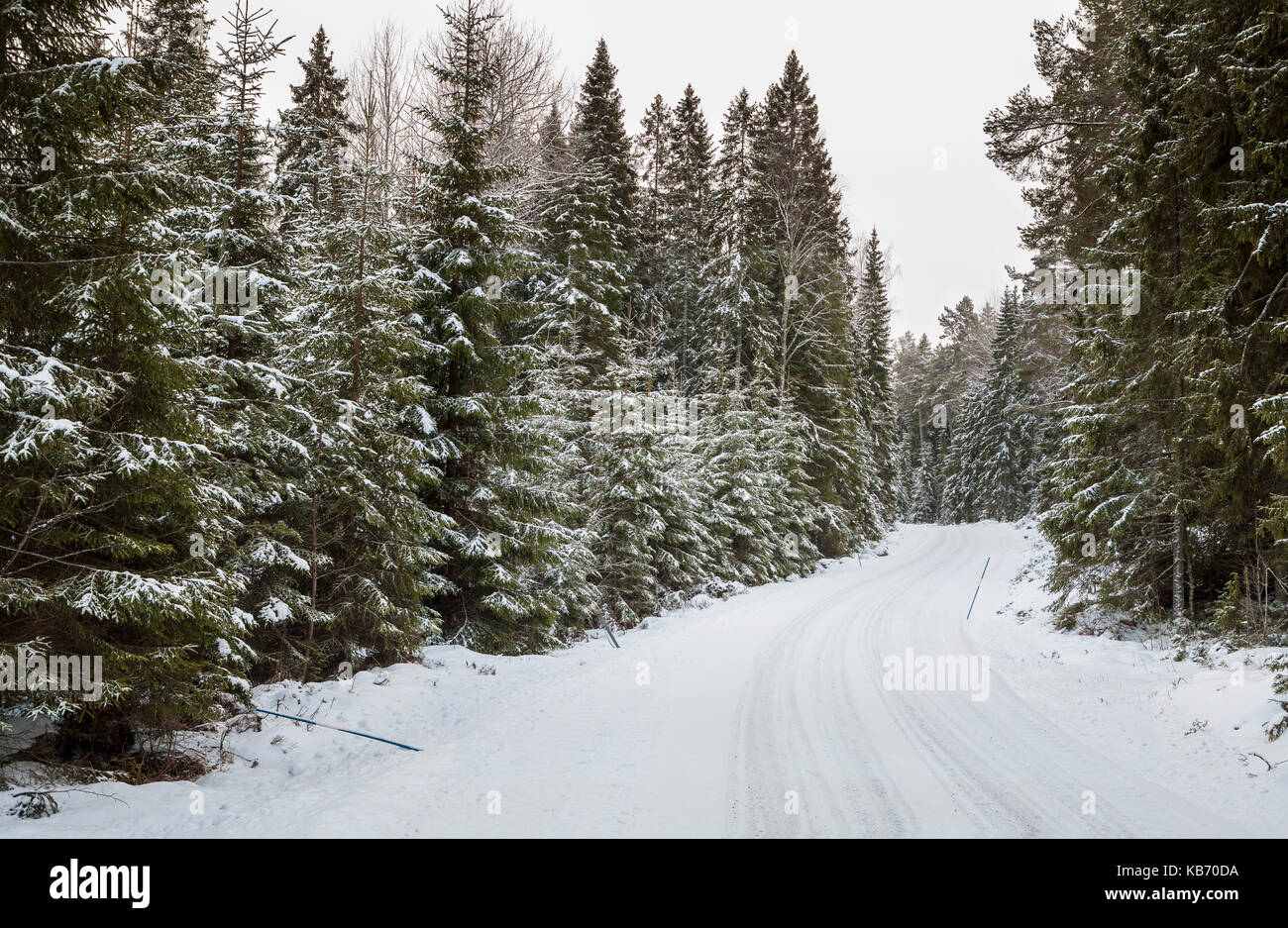 Snowy landscape and winter road in the countryside of Uppland, Sweden ...