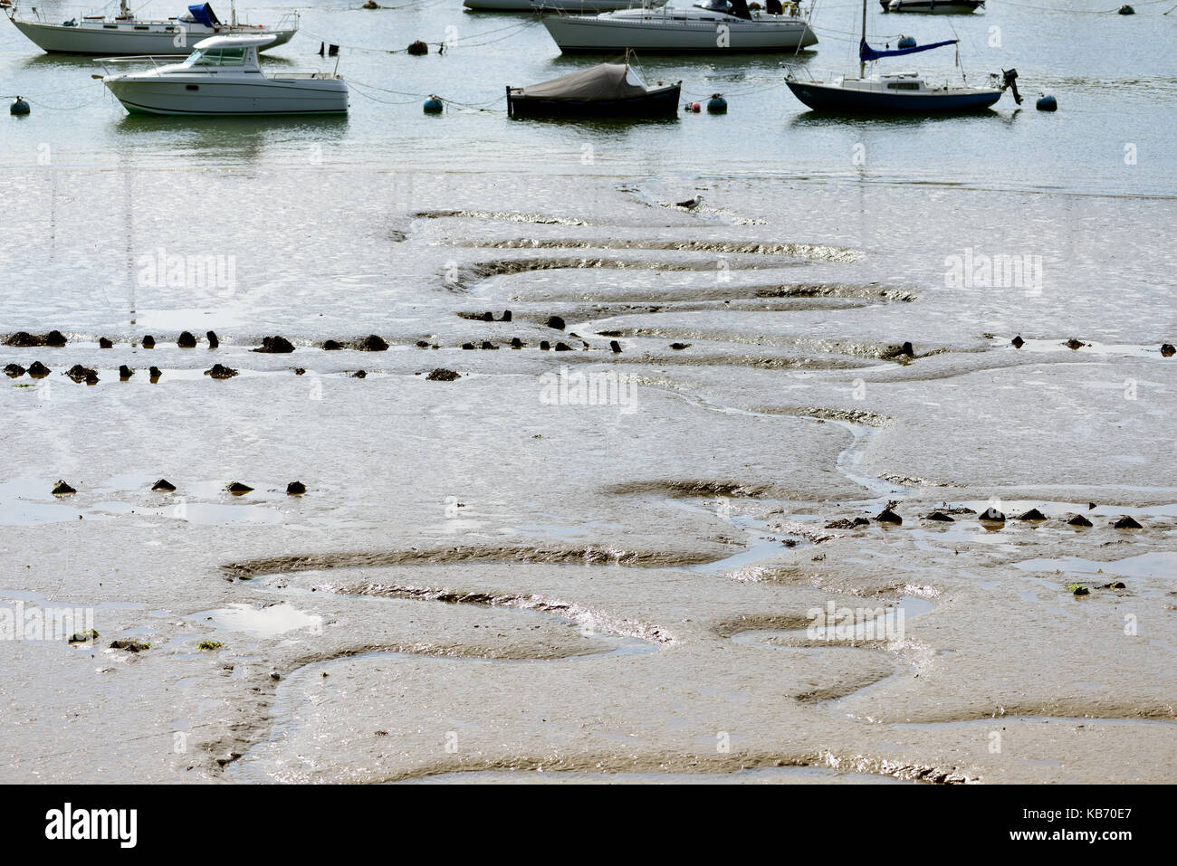 Drainage channels in the estuary mud at low tide. (Processed as an HDR ...