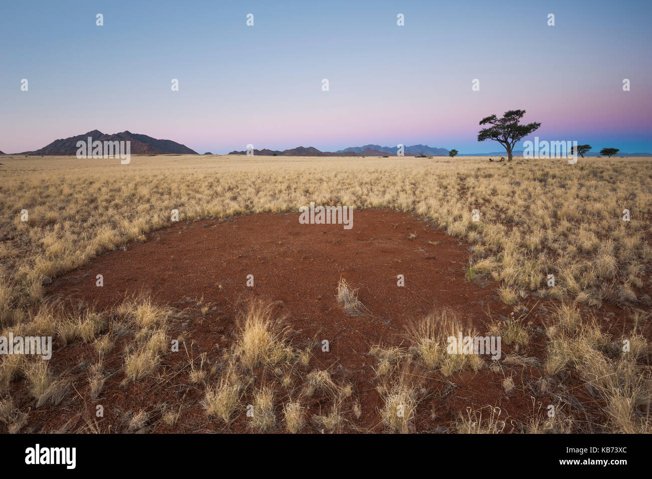 Fairy Circle, Namibia, Namib Naukluft Park Stock Photo - Alamy