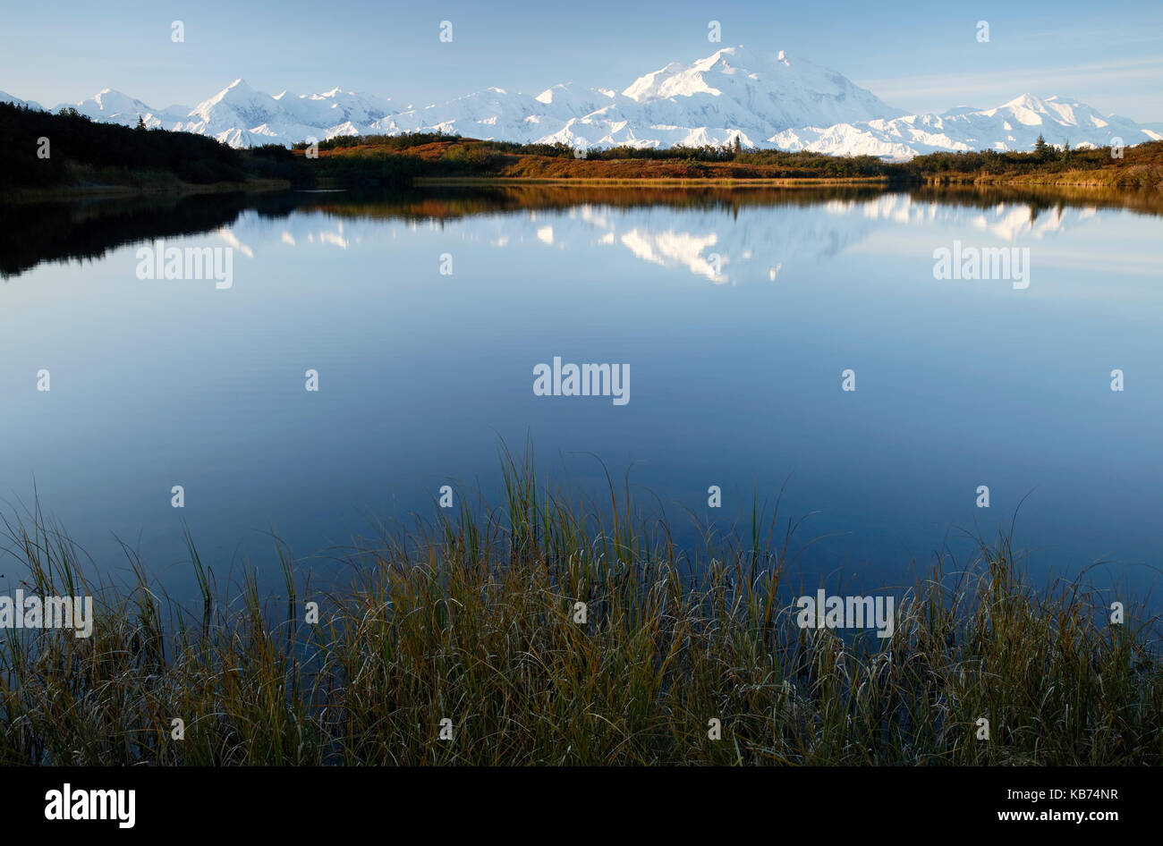 Denali, reflected in Reflection Pond, also known as Mount McKinley, its ...