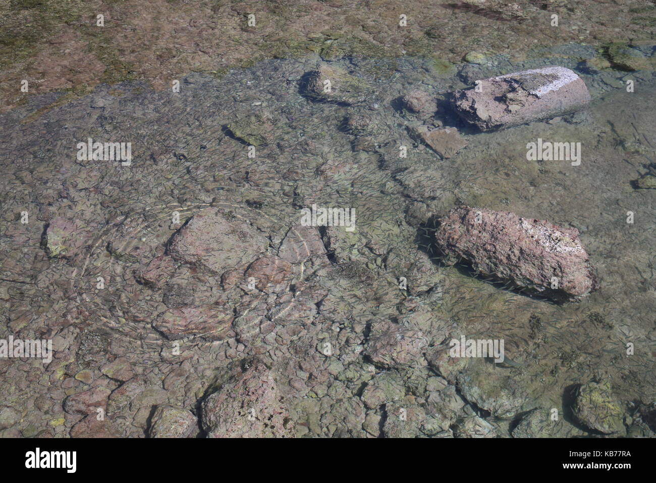 Heraion of Perachora, Greece Stock Photo - Alamy