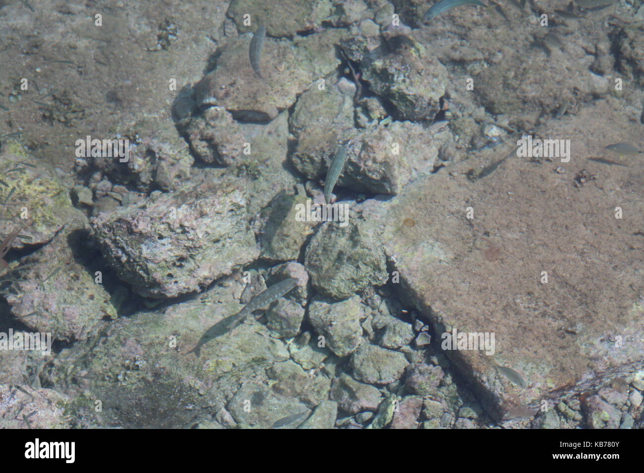 Heraion of Perachora, Greece Stock Photo - Alamy