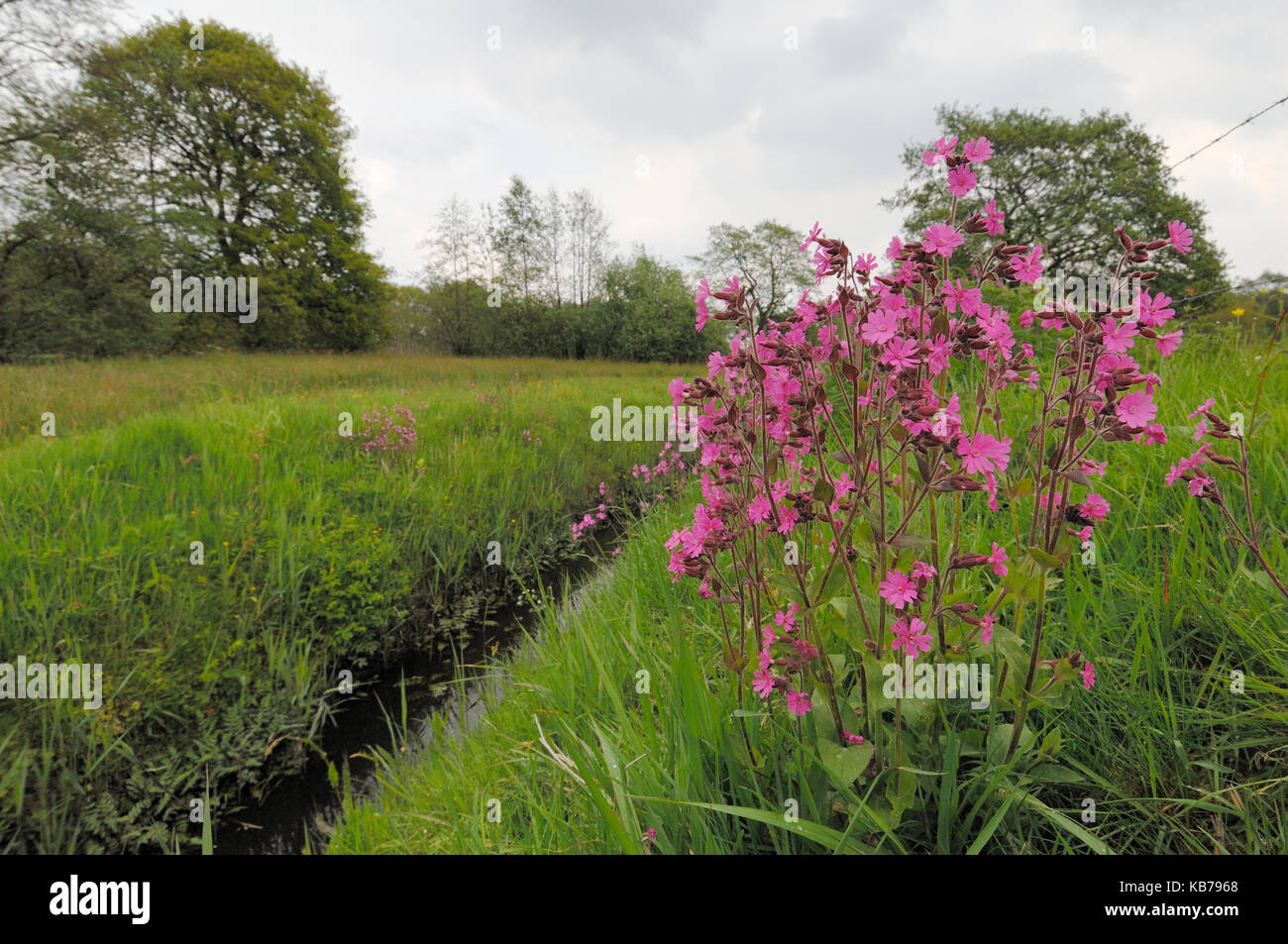 Parc national drentsche aa hi-res stock photography and images - Alamy