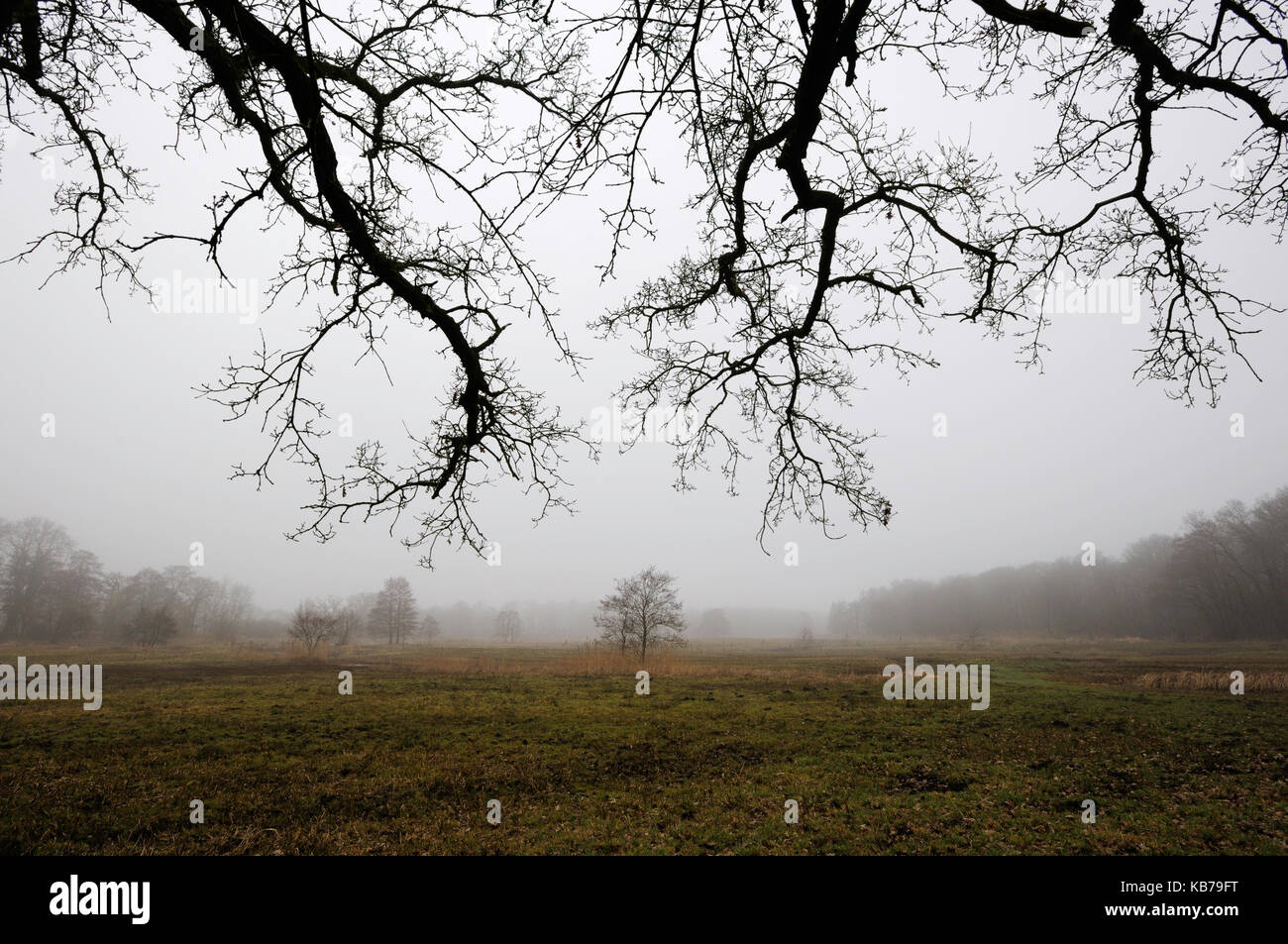 Early spring along the banks of the Drentsche Aa, the Netherlands ...