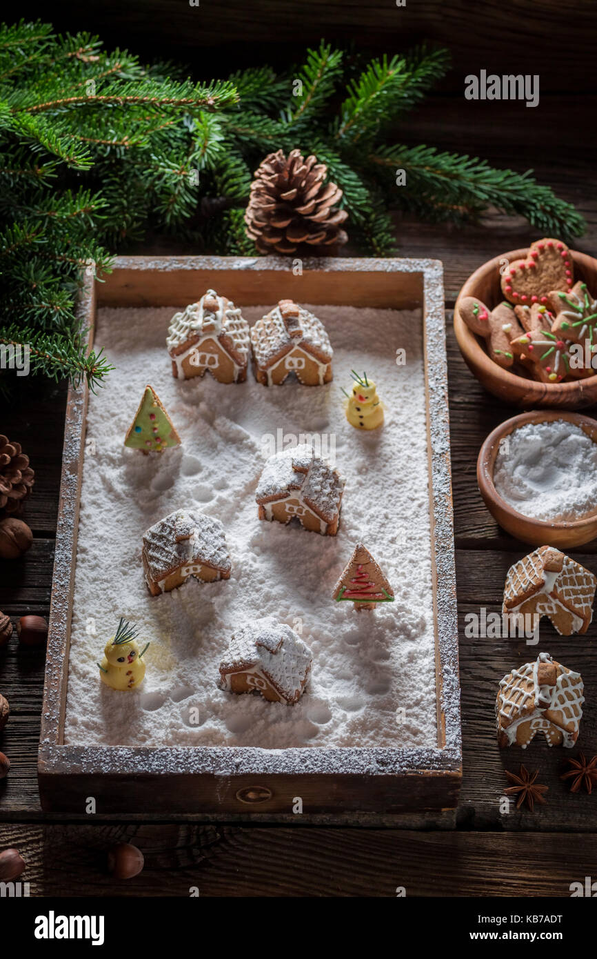 Homemade Christmas gingerbread village with trees and snow Stock Photo ...