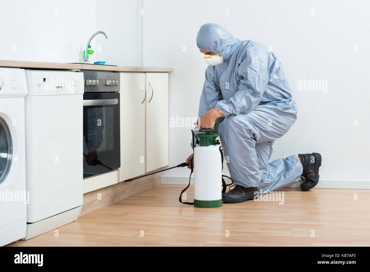 Full length of exterminator spraying pesticide on wooden cabinet in ...