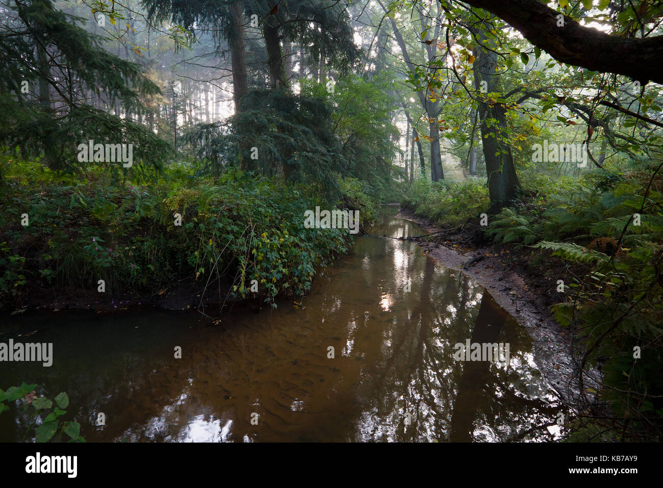 Gorp hi-res stock photography and images - Alamy