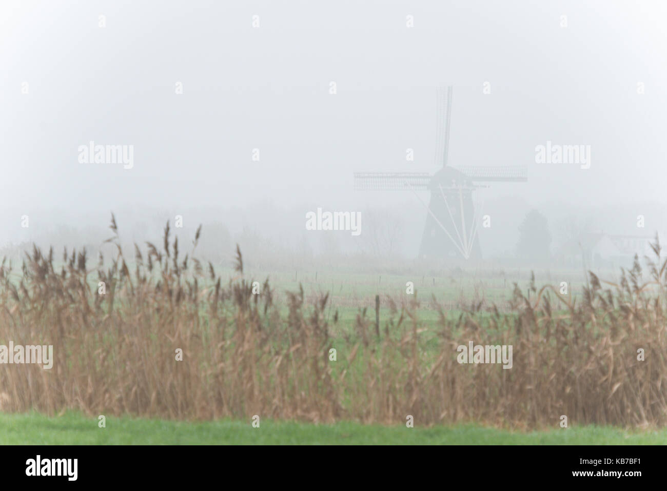Windmill in the mist, The Netherlands, Noord-Brabant, Haagse Beemden ...