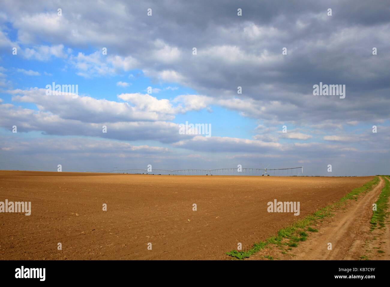 Field in a spring cloudy day Stock Photo - Alamy