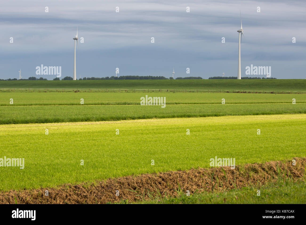 Flevoland hi-res stock photography and images - Alamy