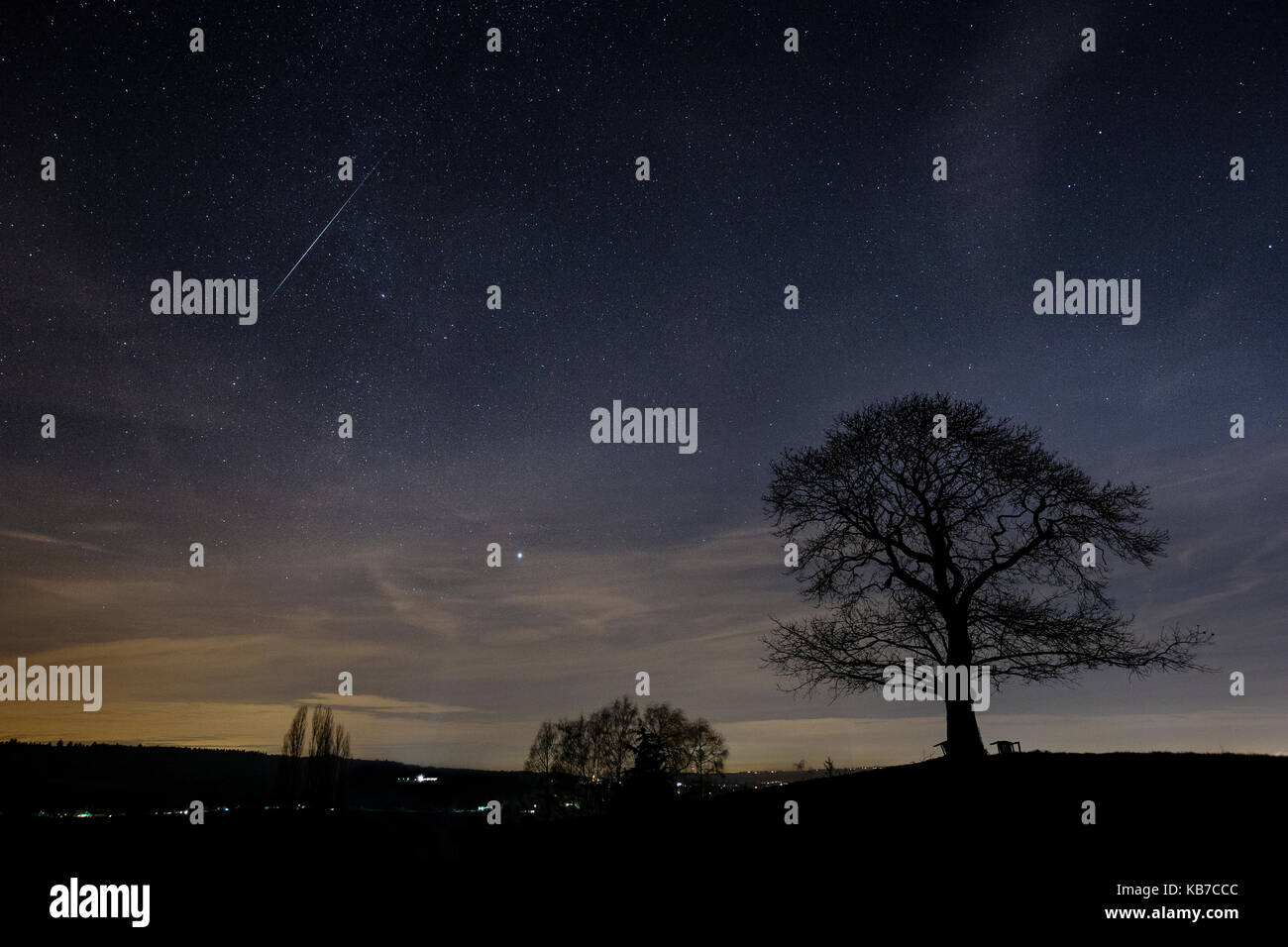 Shooting star tree hi-res stock photography and images - Alamy