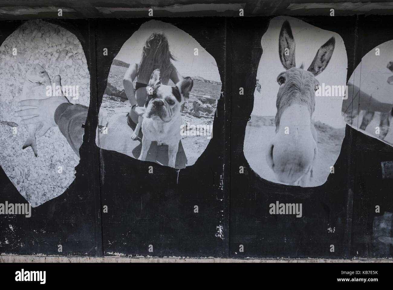 Tirana Capital of Albania May 2017 - Ish-Blloku Ex-Block | usage ...