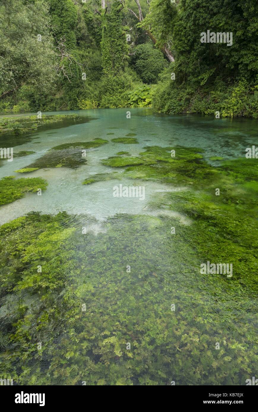 The Blue Eye Water Spring in Southern Albania May 2017 | usage ...