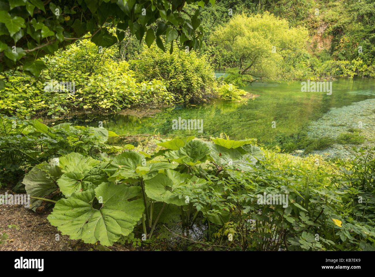 The Blue Eye Water Spring in Southern Albania May 2017 | usage ...