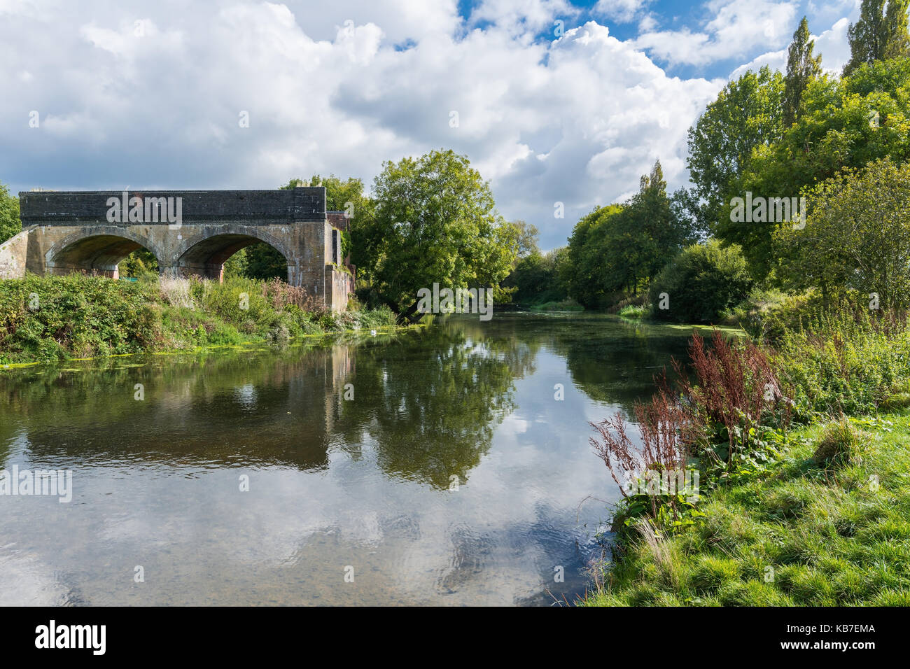 River Stour in Blandford Stock Photo - Alamy