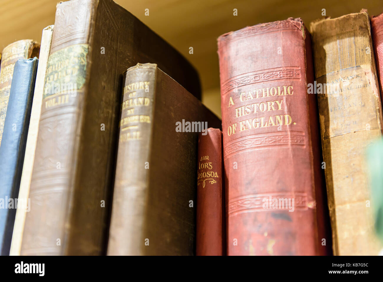 Old Irish theology books in a library specialising in Irish History ...