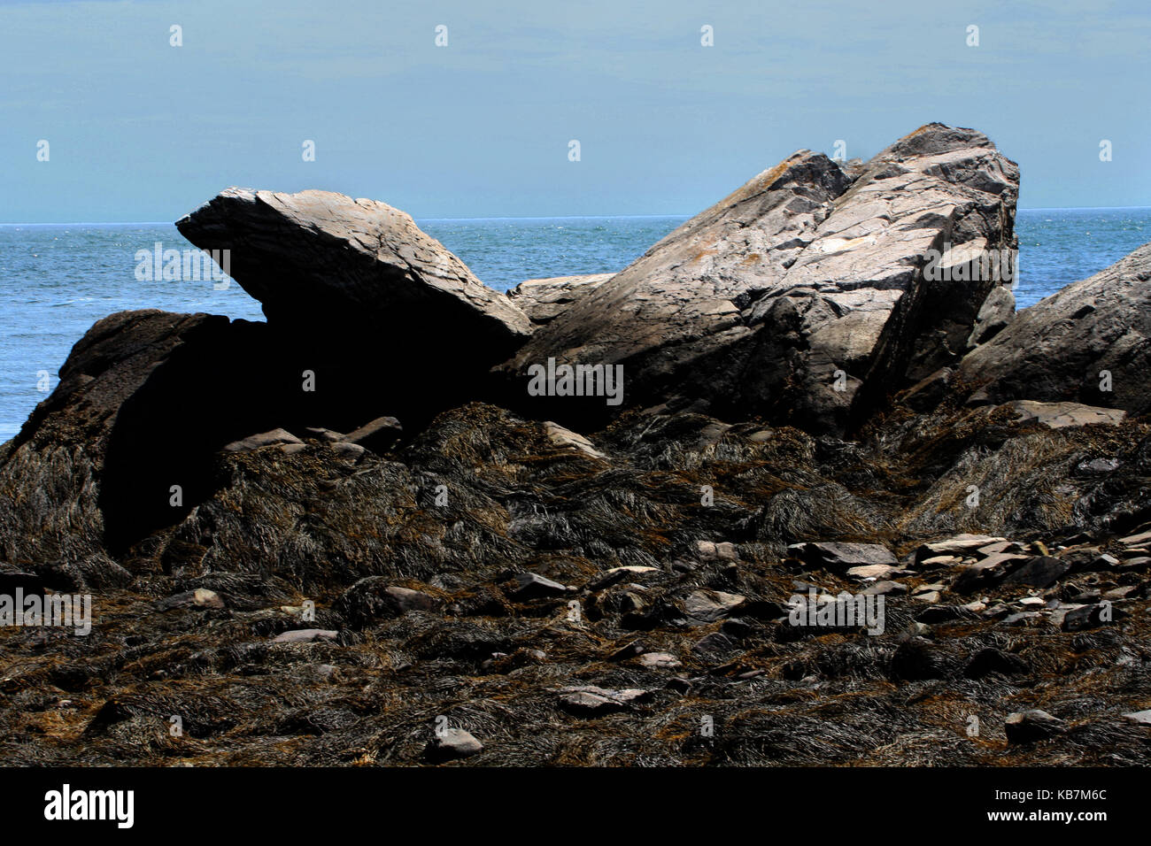 A beautiful photo from my collection Stock Photo - Alamy