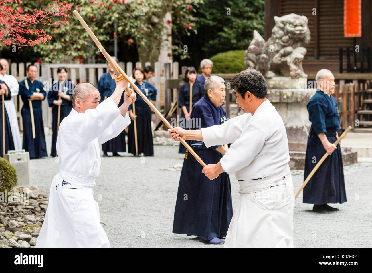 Bokken Training