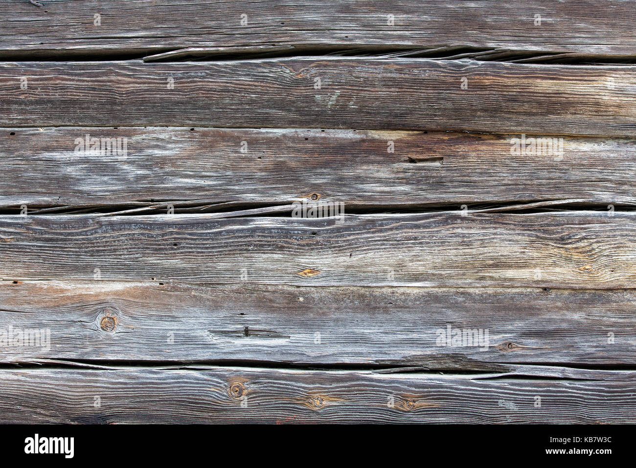 Grey pine wood background series. High-detailed Stock Photo - Alamy